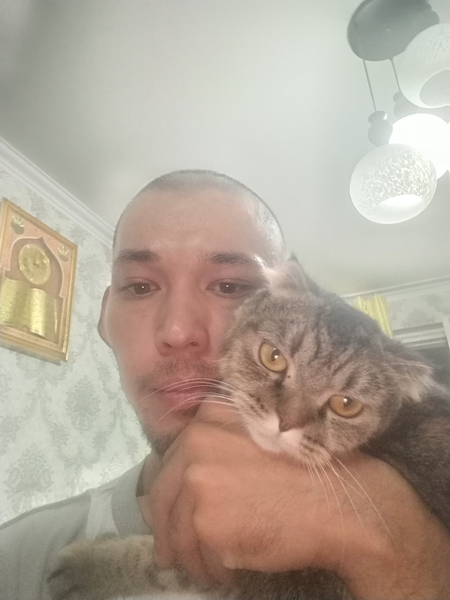 Продаю котёнок. Срочно