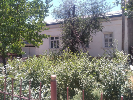Ipakchili maxalla 9 so'tix 50000$dan kelishamiz