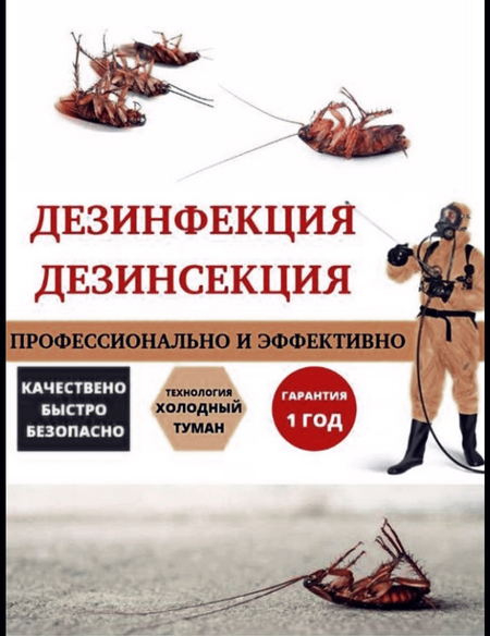 Уничтожение тараканов и клопов