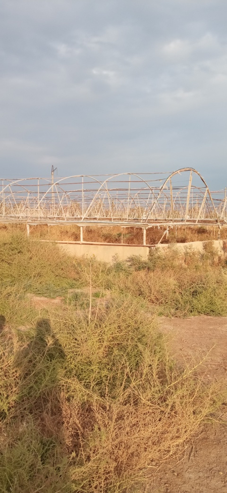 продается парник