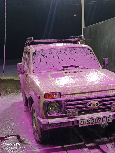 Niva sotiladi puli kelistirib beramiz
