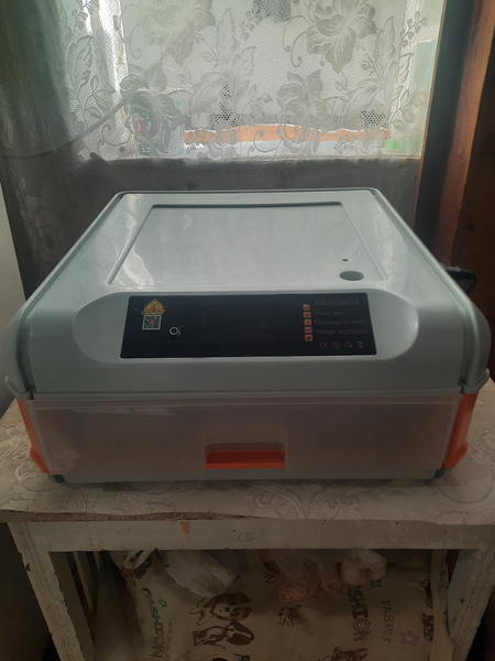 Инкубатор 65 талик