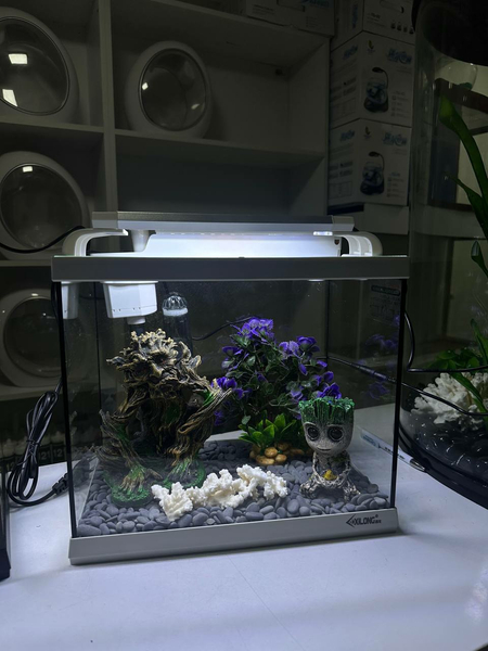Akvarium xitoy new