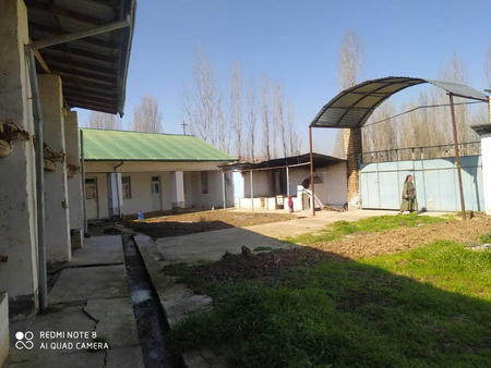 Чорва учун яхши жой