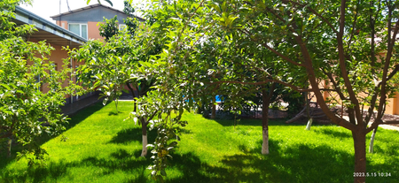 Dacha sotiladi Chirchiq Platinada