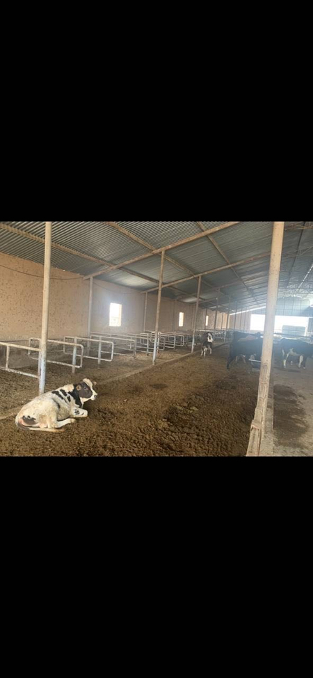 Продается ферма-земельный участок под застройку или производство/завод