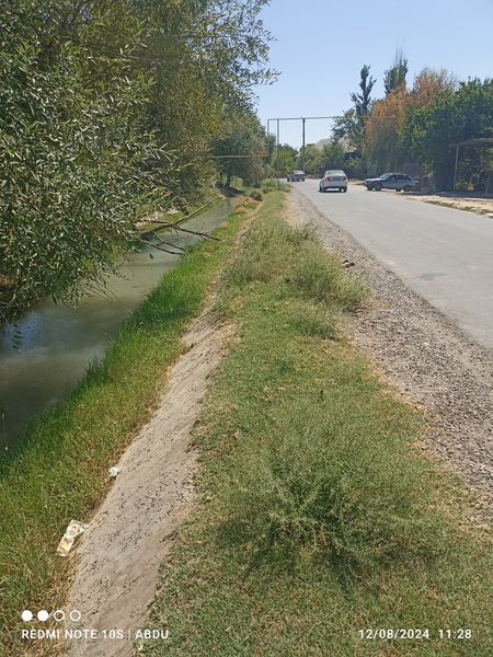 20 sotihli uchastka sotiladi