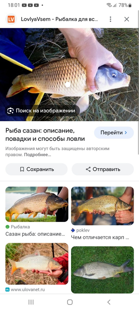 Баликла хар хилтурдаги ва огирликда