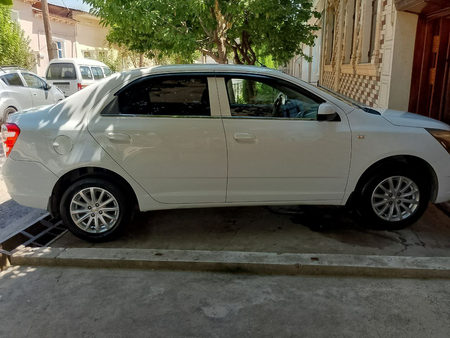 Ko'bilt Nasiya savdoga beriladi boshiga 4000$.    5000$ bilan
