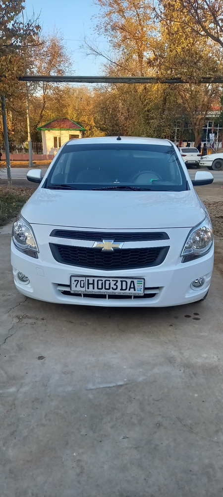 Kobolt rodnoy 2019 toza