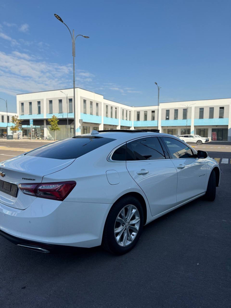 Malibu 2 Primier