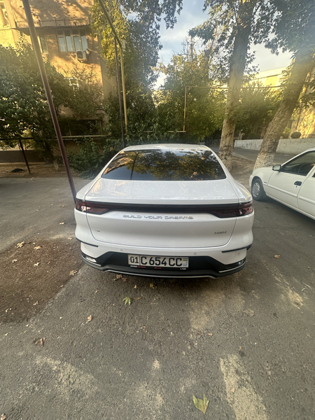 Byd Han 715 afitsalniy salondan olingan