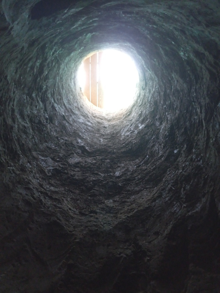 Urachi Toshkent boʻylab oʻrachi