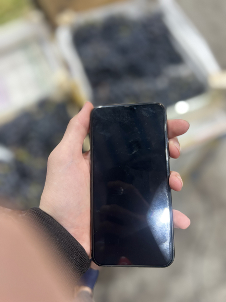 Iphone 11 proooo