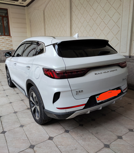 Byd song flagship