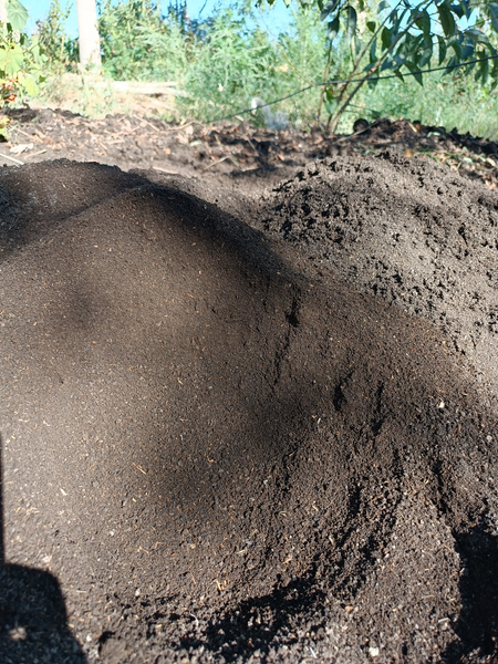 0.5elagda elangan biogums sotiladi