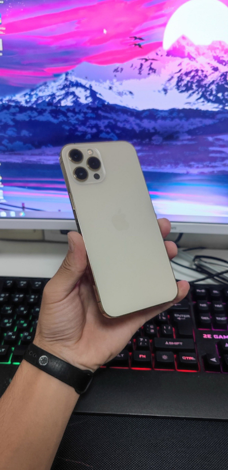 iPhone 12 pro max