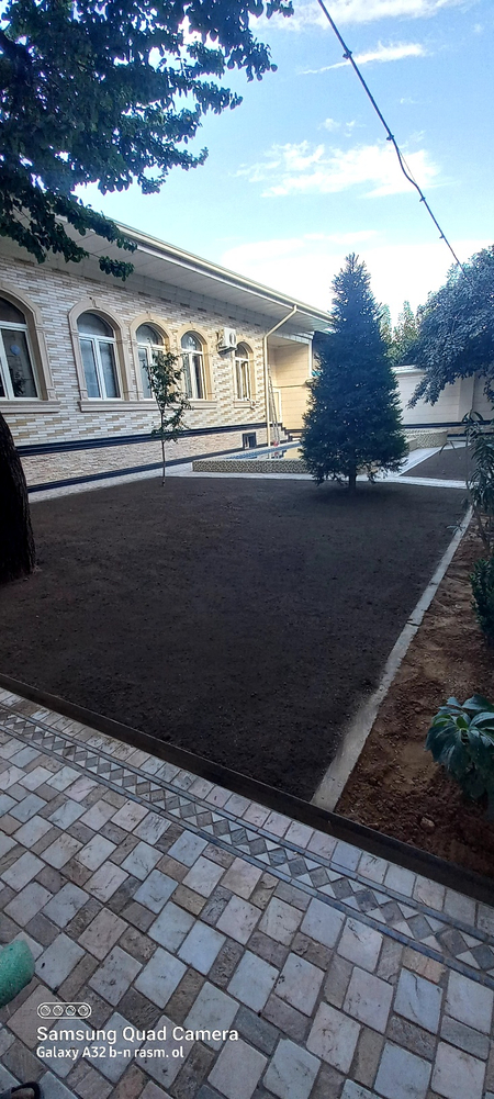Gazon ekish va tayyor gazon o'rnatish xizmatlari.