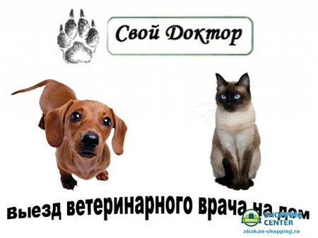 Вет КЛИНИКА Ветеринар врач круглосуточно 24/7