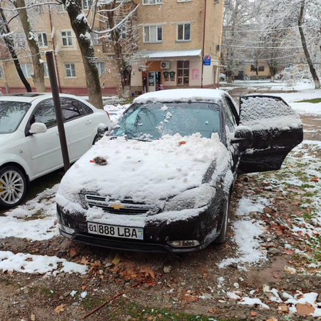 Жентра 3 позиция элегант