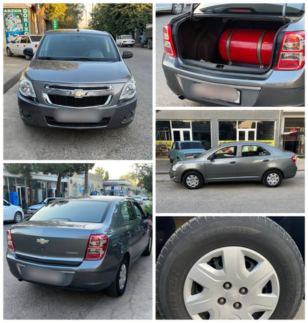 Kobilt 2014 yil saqlangan