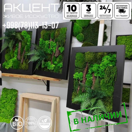 Картины из мха и экзотических растений