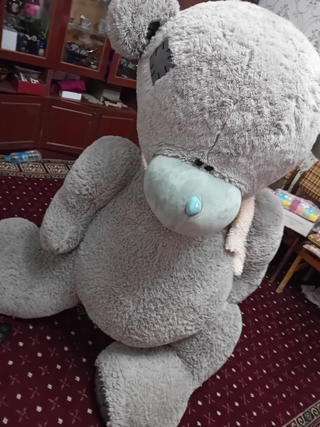 Yangi Teddy sotiladi