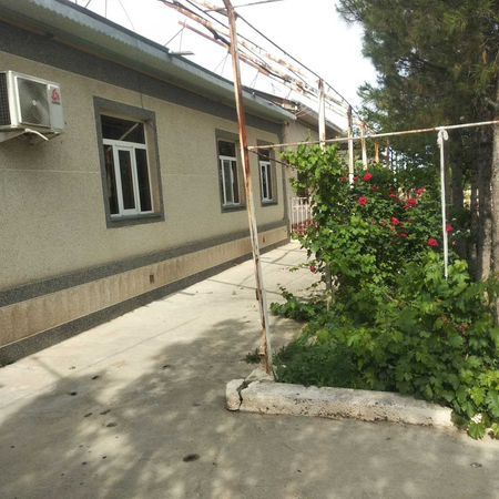 Hovli, katej sotiladi