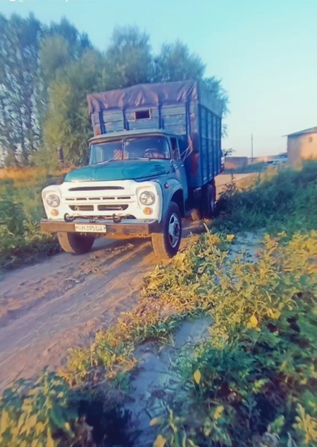 Srdaryo gulistan