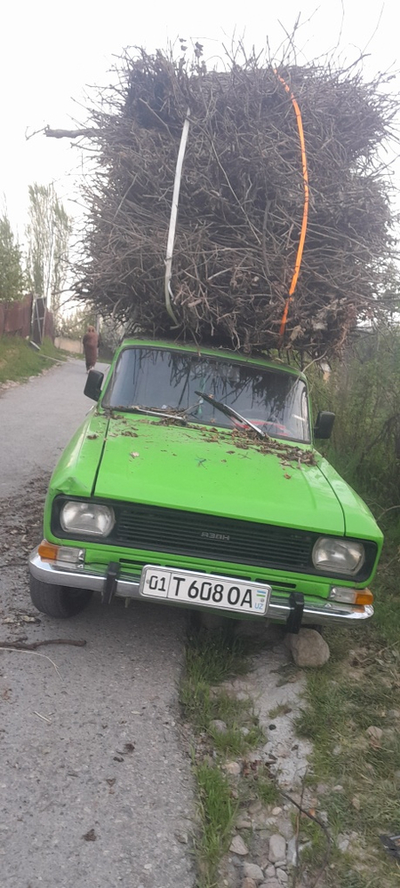 Maskivich furgon