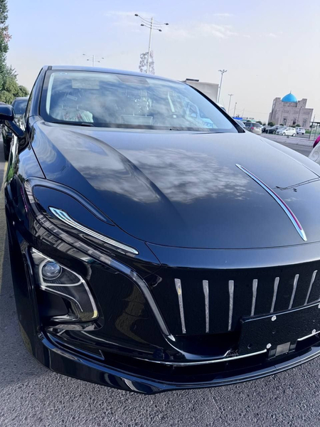 Hongqi e-qm5  1 соатда номизга наличие