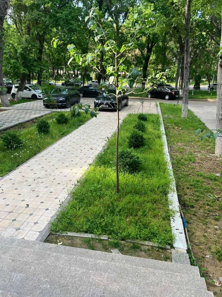 Срочно сдается офисное помещение 100 м² в Юнусабаде (J2428)