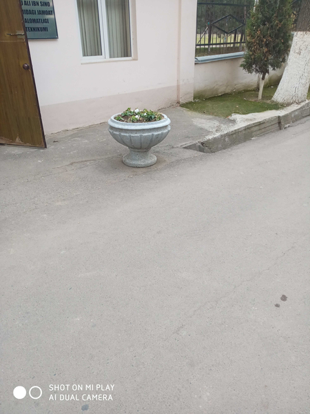 Гул тувак колипи Tuvak qolipi