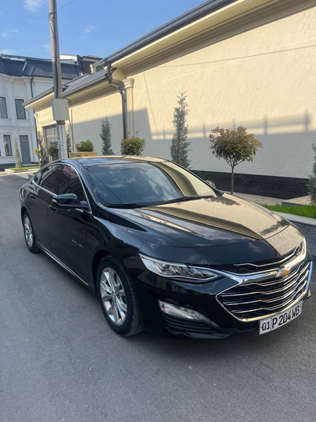 Malibu 2 Primier.