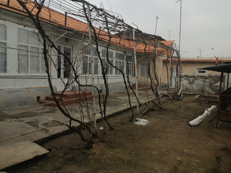 Qibray sentr hovli
