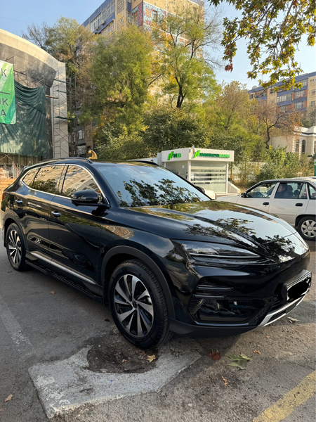 BYD Champion 605km (Flagship)