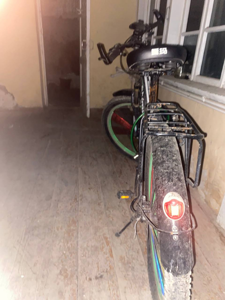 Shimano brendi ostida Gonchik