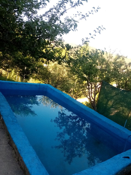 Dacha chimgan arenda