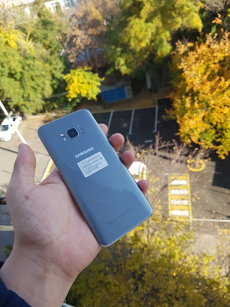 Galaxy S8 // 64 GB Radnoy