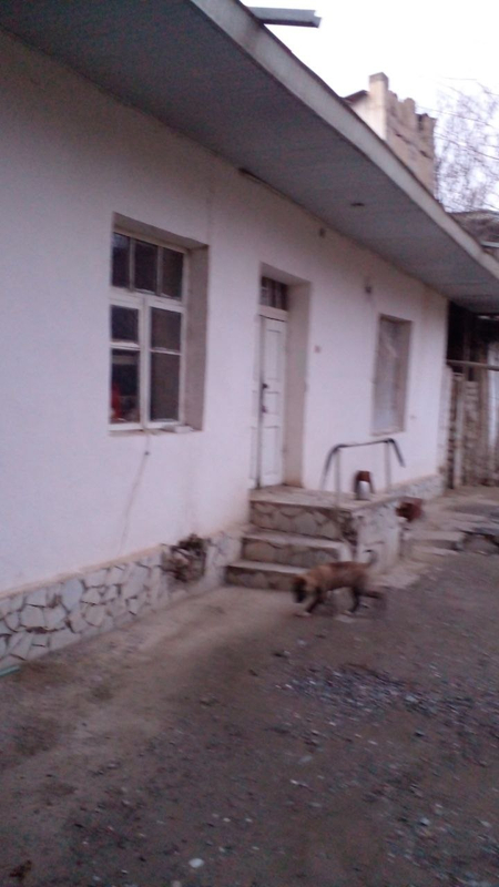 Srochna Hovli Sotiladi