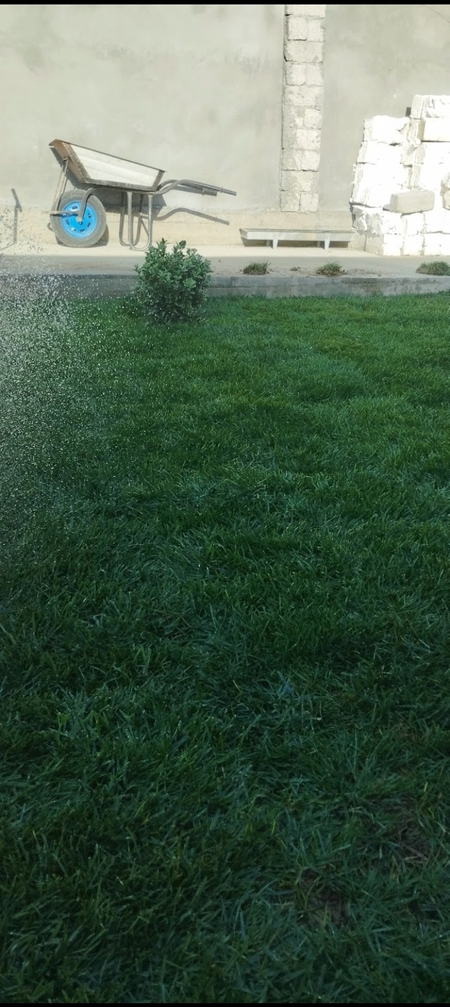 zof agro services