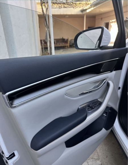 Byd chempion 605 full 2024