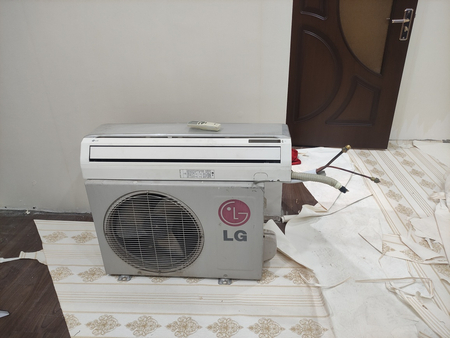 Lg kanditsaner sotiladi 12 tali