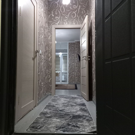 Motrid ijaraga beriladi