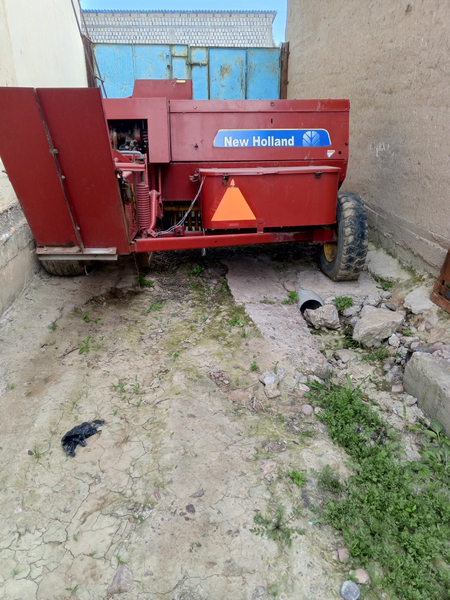 Mol qoy ot qochqorlarga barter qilamiz sveji texnika