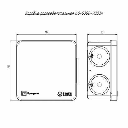 Коробка распределительная 100х100х50 IP66 (Промрукав)