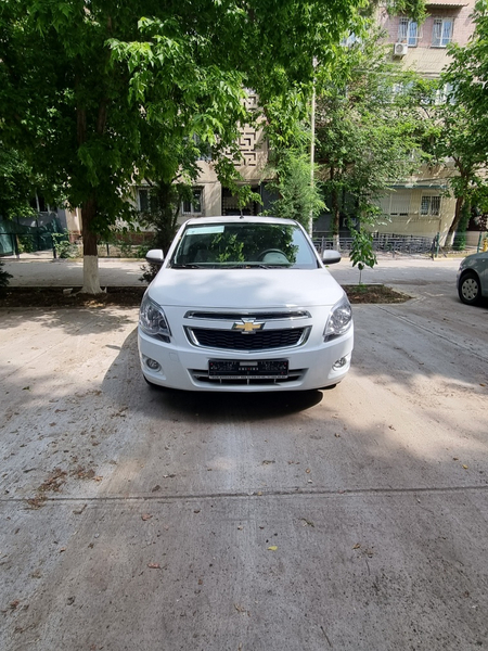 Cobalt 2024 Style Full pazitsa masla