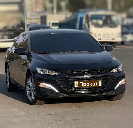 Rent car avto prokat uzb boylab