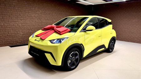 Byd seagul muddatli tolovga