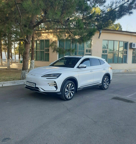 BYD CHEMPION 605 KM. 2024. Краска тоза